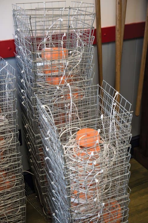 Guide to Catching Blue Crabs | Chesapeake Bay Magazine