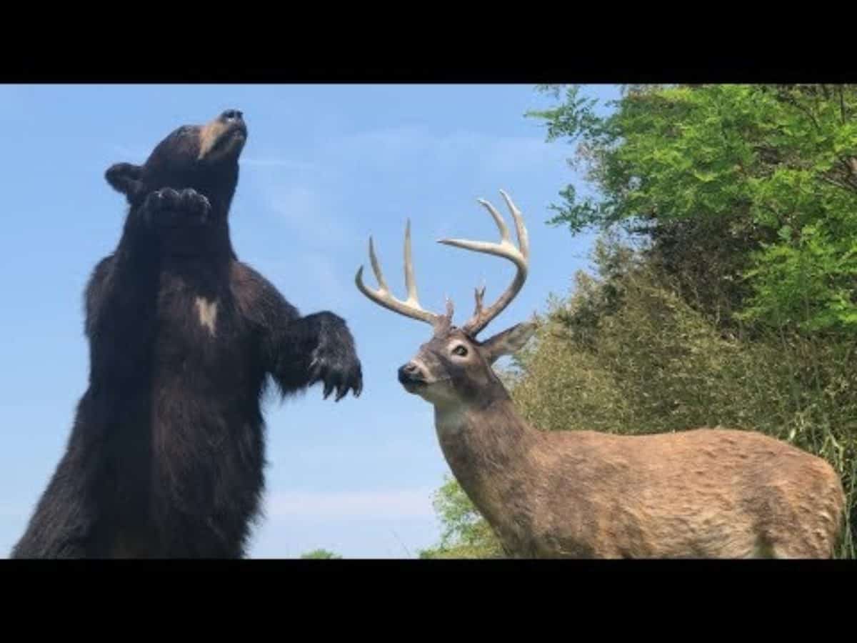 VIDEO: Celebrating 150 Years of Protecting Maryland's Natural Resources ...