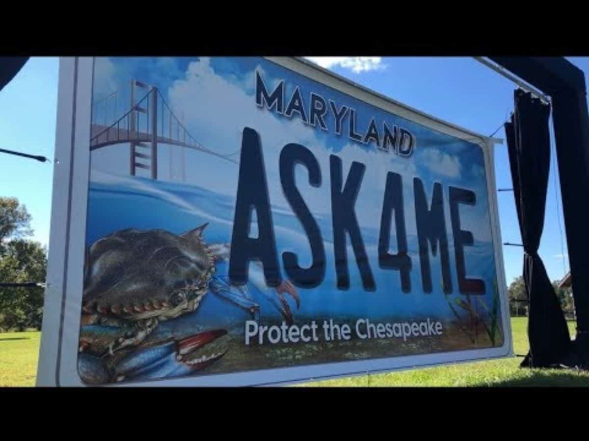 New Maryland Bay License Plates Revealed | Chesapeake Bay Magazine