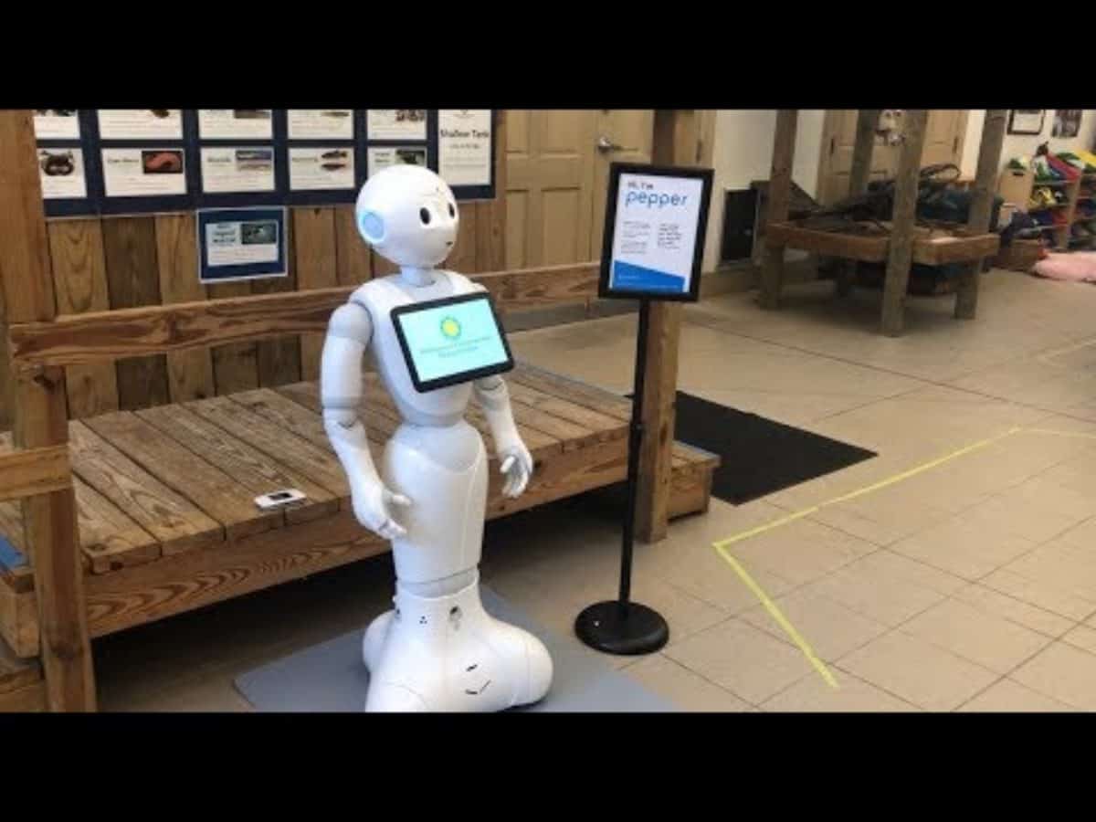 VIDEO: Robot Teachers Take Over Bay Environmental Center | Chesapeake ...
