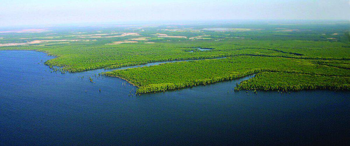 The Little Choptank Doesn’t Like Me | Chesapeake Bay Magazine