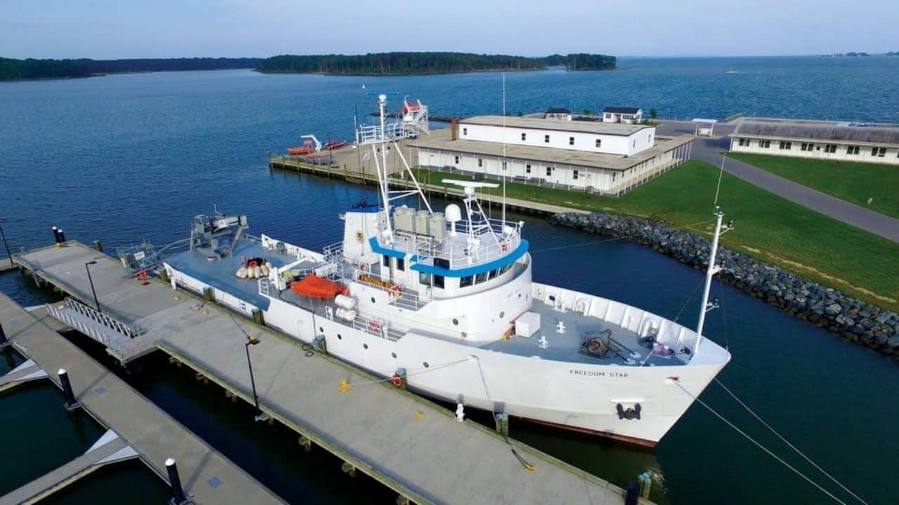 MV Freedom Star - Wikipedia