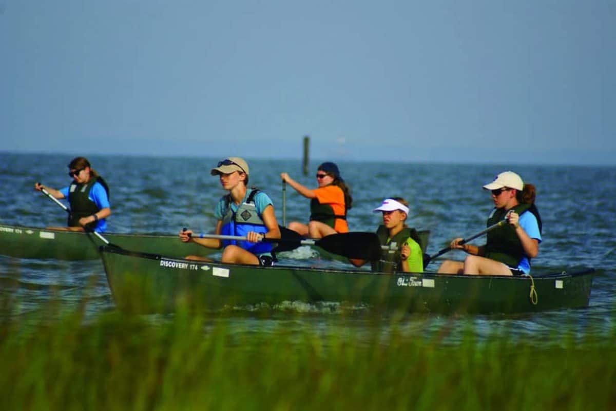 Fall Turnover | Chesapeake Bay Magazine