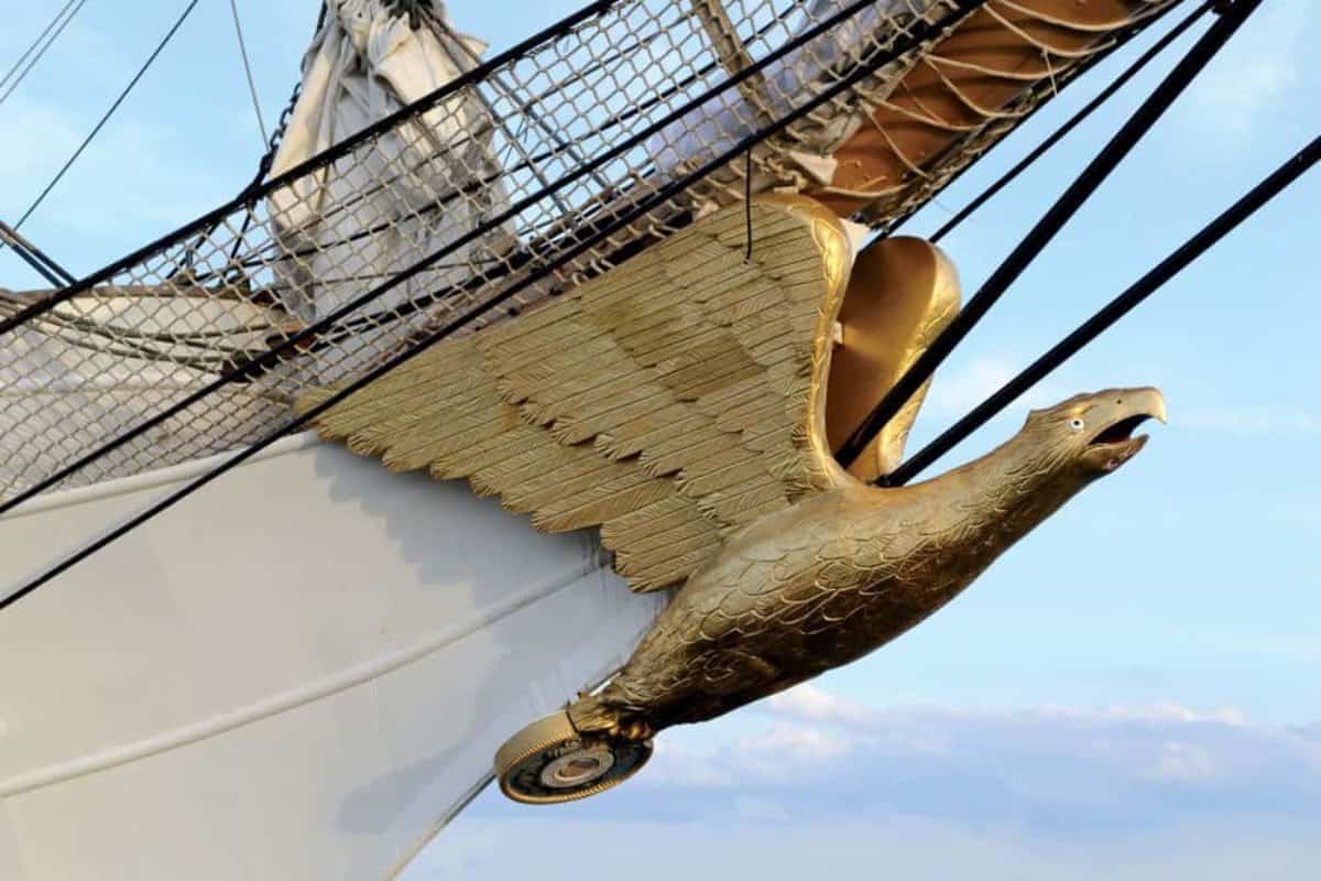 On Eagle’s Wings | Chesapeake Bay Magazine