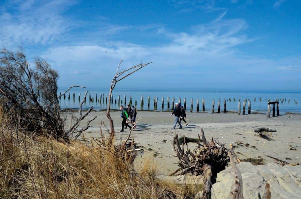 Smith Island: The Most Beautiful Place You've Never Been | Chesapeake ...