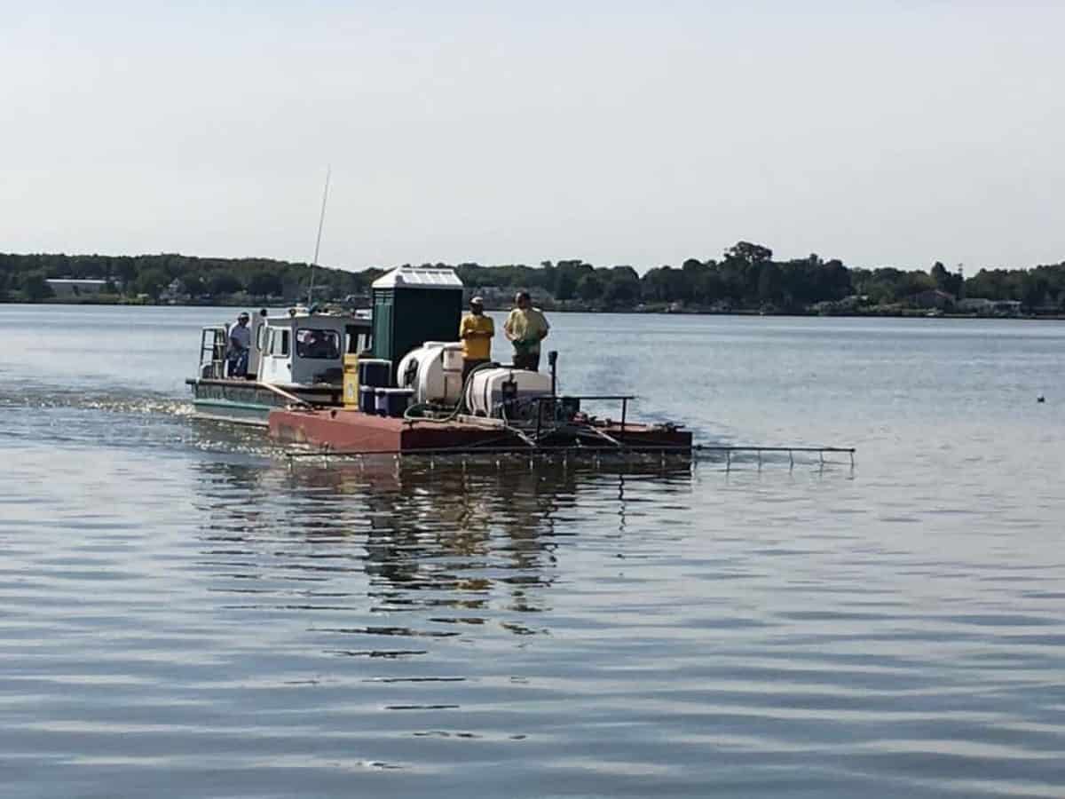 Pilot Program Launched to Control Midges on Back River | Chesapeake Bay ...