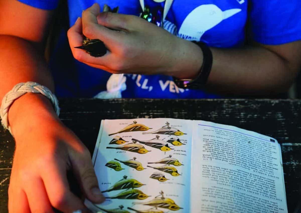 "Year of the Bird" Brings Washington College Birding Scholarship ...