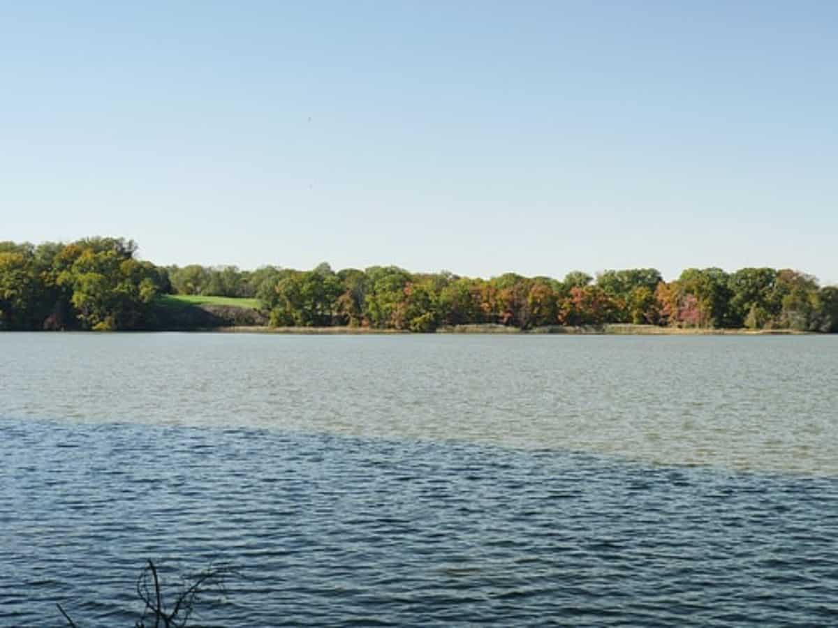 Get a Sneak Peek of New Bohemia River State Park | Chesapeake Bay Magazine