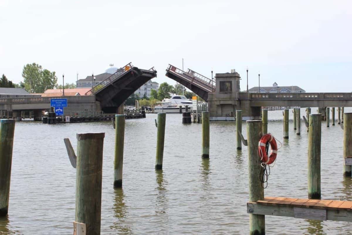 Va. Waterfront Comes Back to Life | Chesapeake Bay Magazine
