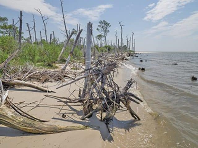 Study: Will Restoration of Deal Island's Lost Dunes Halt Flooding ...
