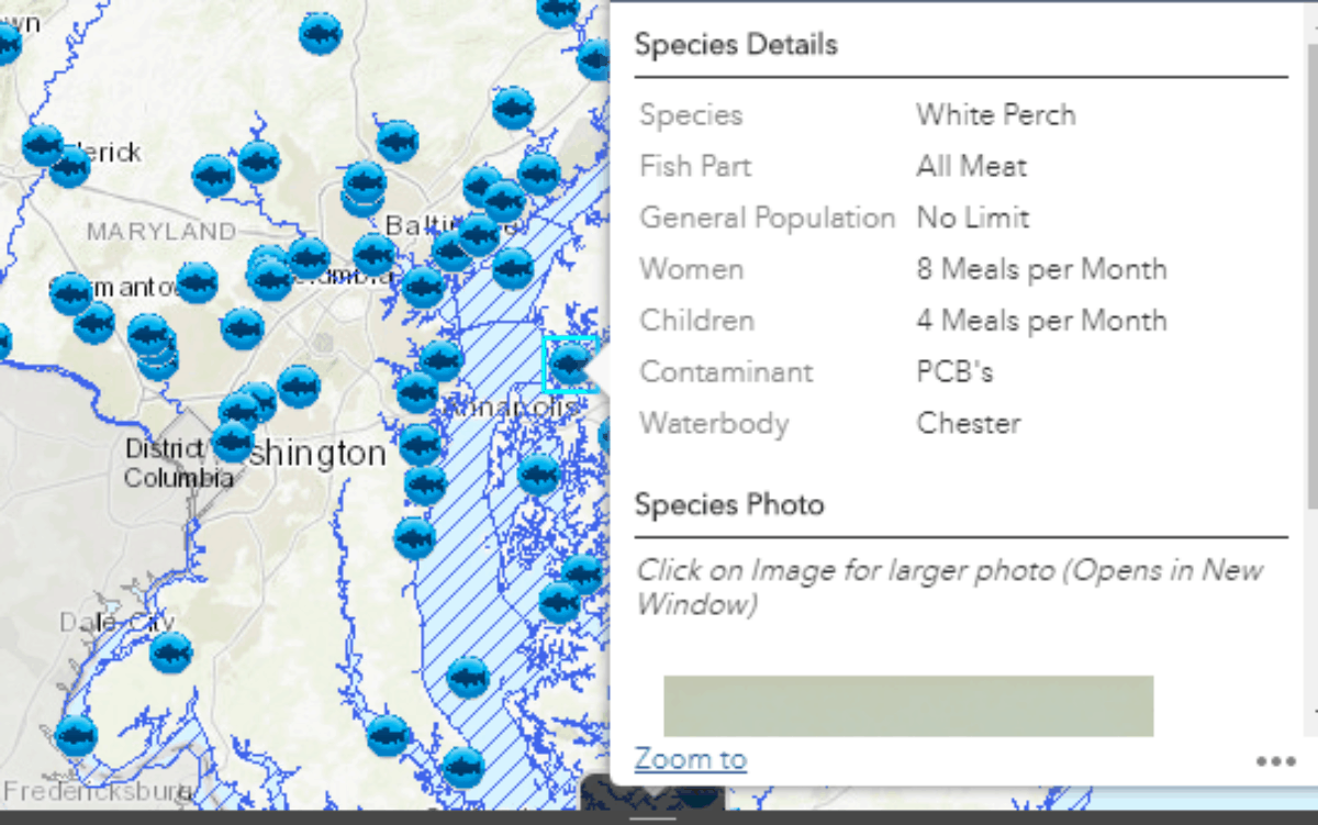 MD's New Clickable Map Shows You Where the Fish Are Safe to Eat ...