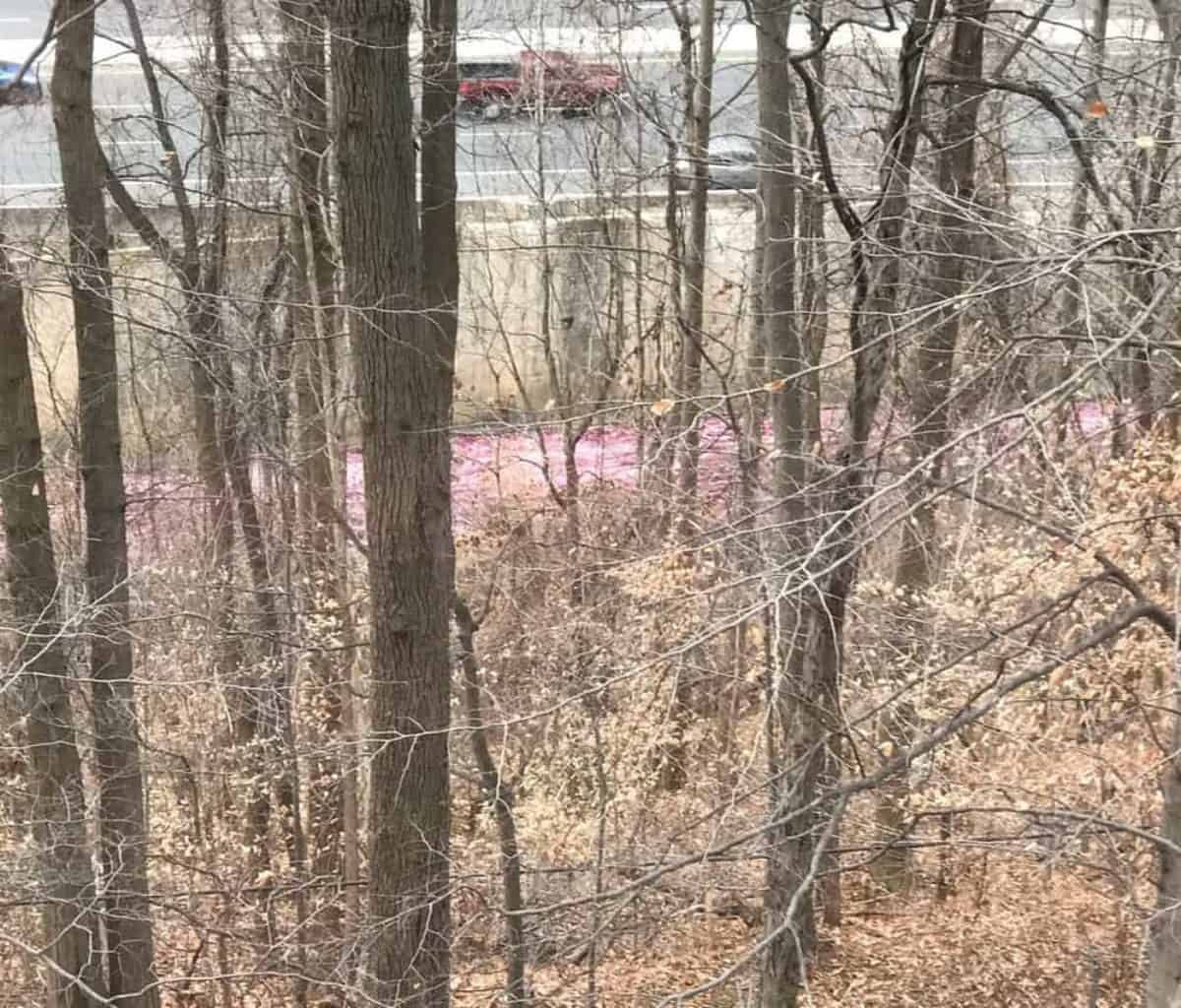 Baltimore Tanker Crash Causes Oil Spill North of Inner Harbor ...