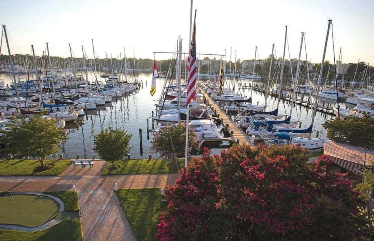 Chesapeake Cocktail: The Flagship | Chesapeake Bay Magazine