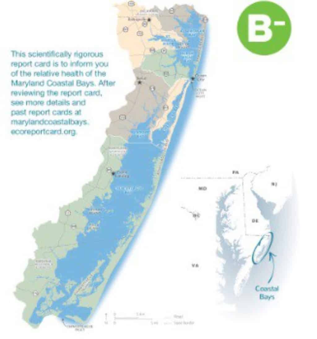 Maryland Offshore Wind Project on Hold as Feds Vacate Permit ...