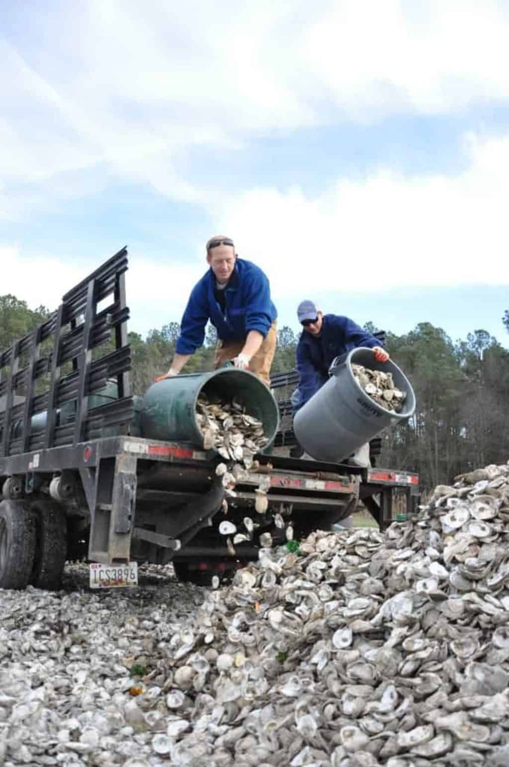 More Restaurants Join Oyster Shell-Recycling Program | Chesapeake Bay ...