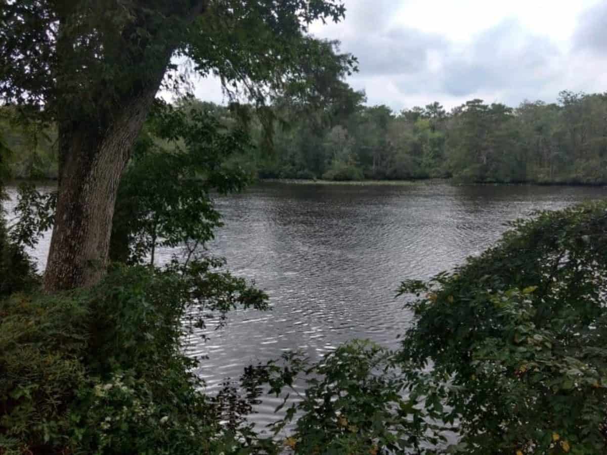 Pocomoke River State Park to Grow by Hundreds of Acres | Chesapeake Bay ...