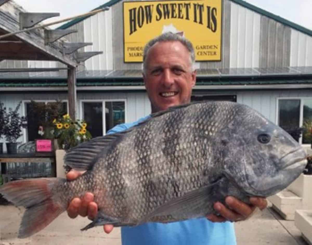 Deal Island Man Catches State Record Fish | Chesapeake Bay Magazine