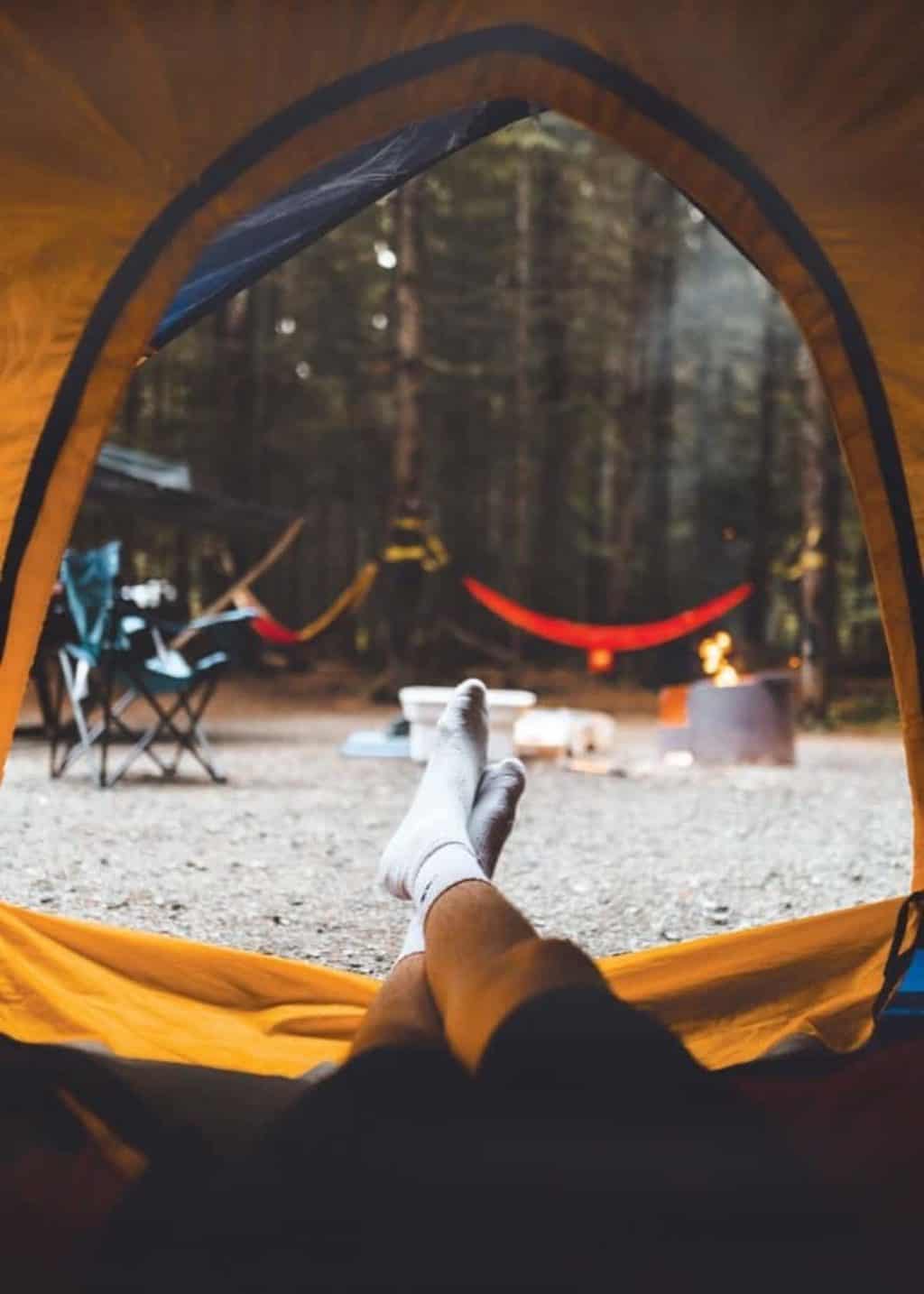 Following the Fall Line | Chesapeake Bay Magazine