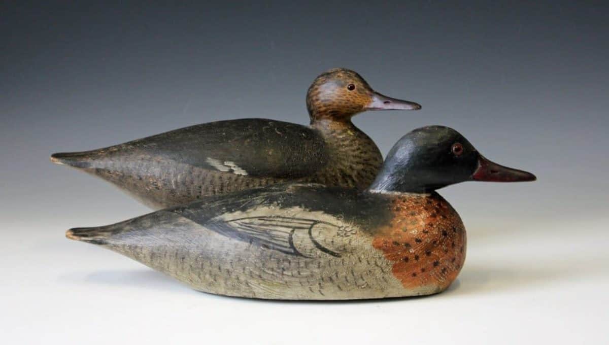 50 Before 1950: New Decoy Exhibit Opens at Salisbury's Ward Museum ...