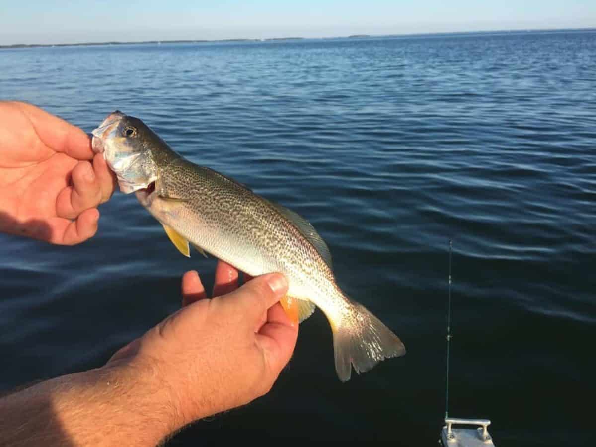 Worth a Shot | Chesapeake Bay Magazine