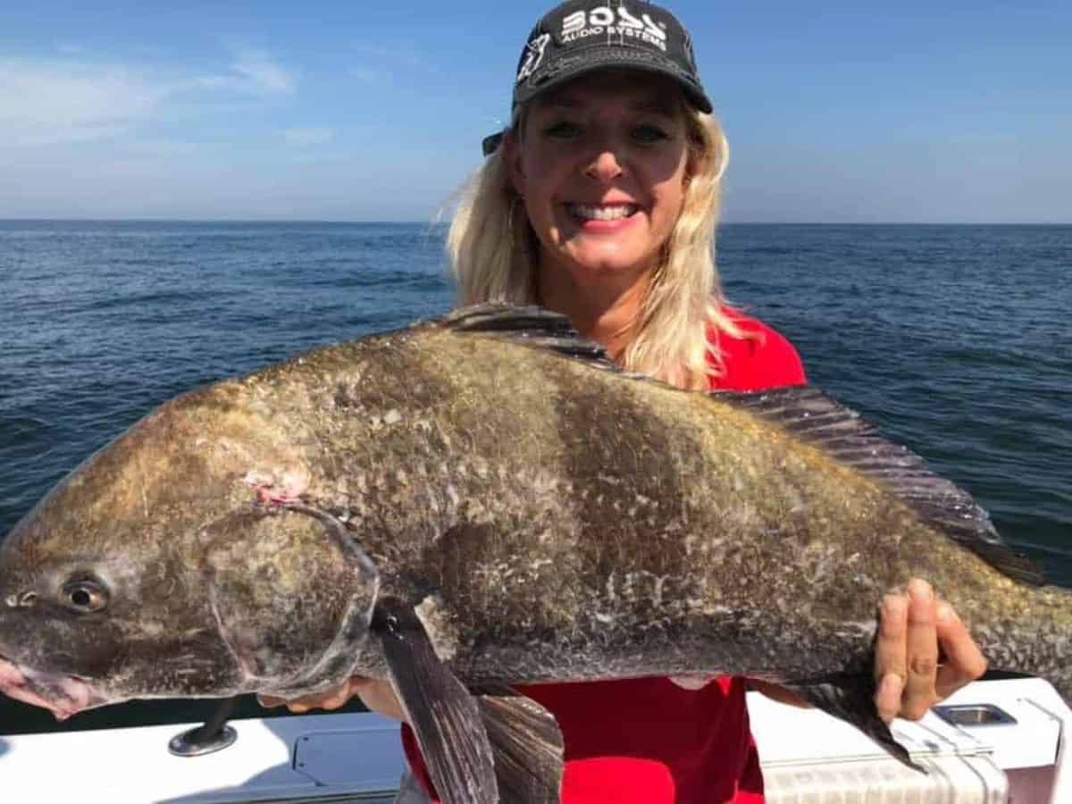 Wild Chesapeake: Rockfish, Drum, and Vanishing Daylight | Chesapeake ...