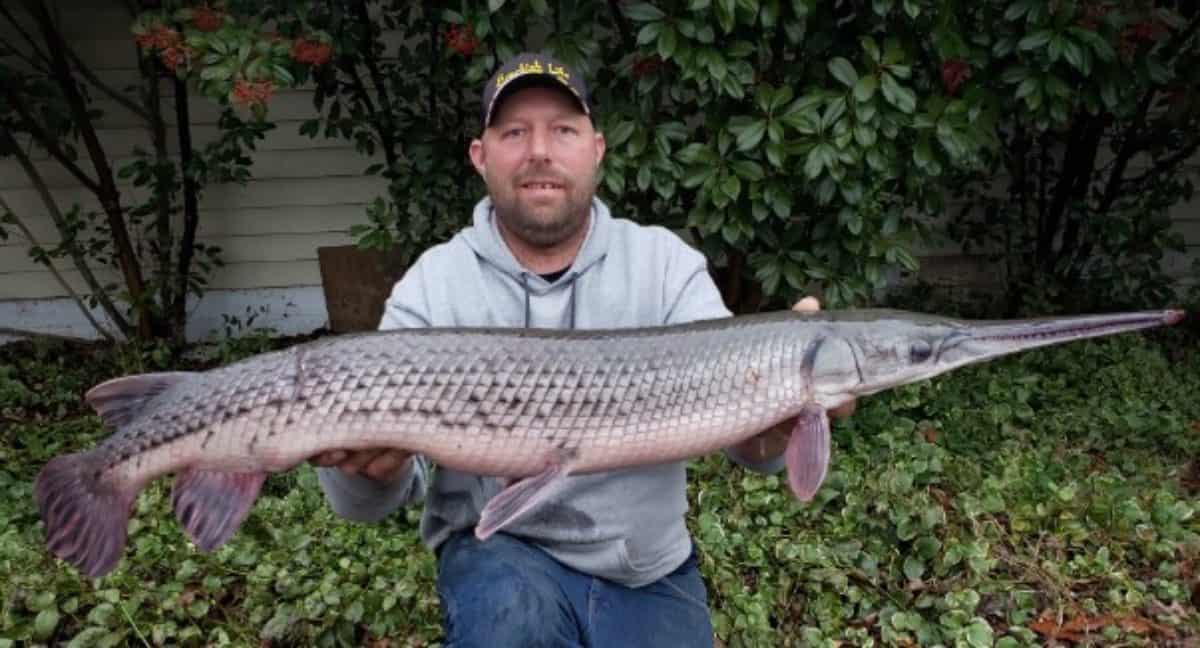Wild Chesapeake: State Record Surprise | Chesapeake Bay Magazine