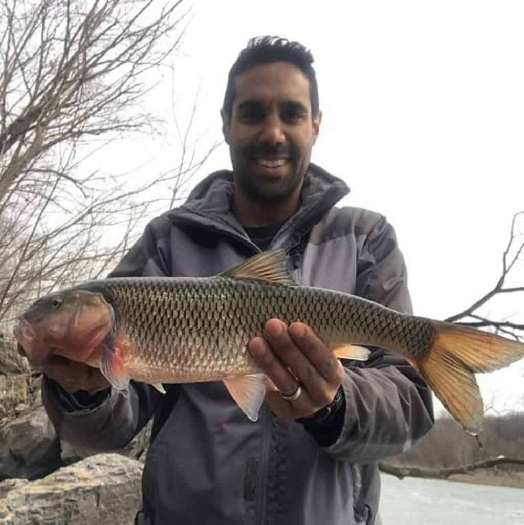 Wild Chesapeake: Md. Awards First State Record for Fish Species ...