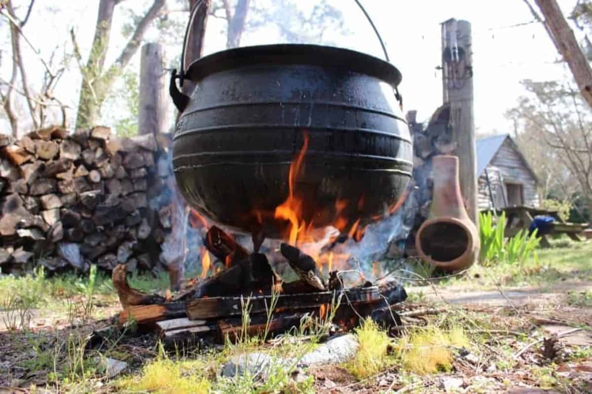 Old Salt | Chesapeake Bay Magazine