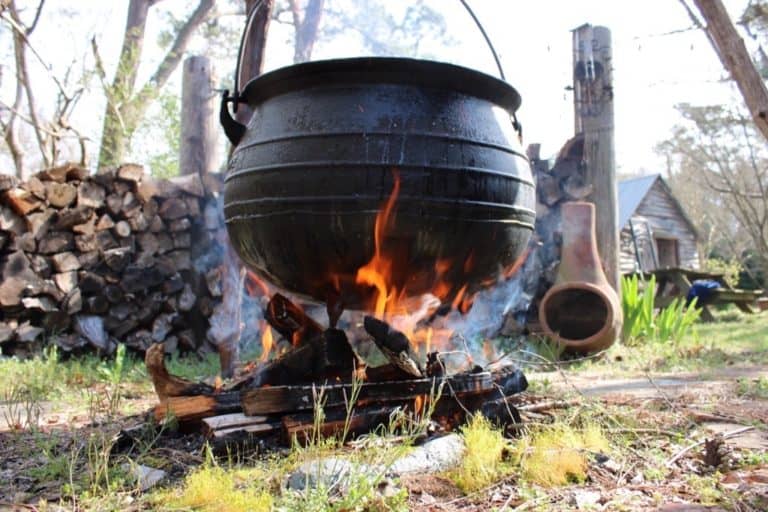 Old Salt | Chesapeake Bay Magazine