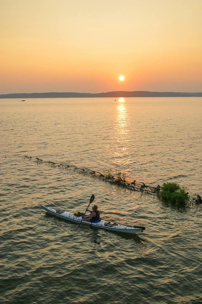 Mallows Shallows | Chesapeake Bay Magazine