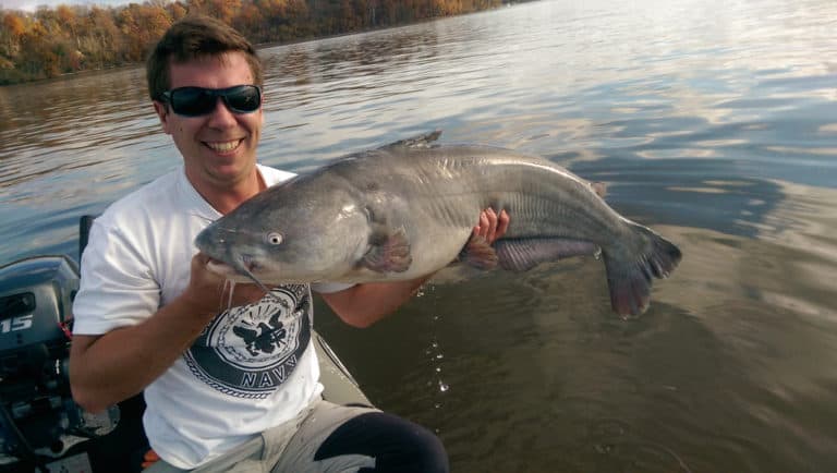 Invasive Blue Catfish to be Served up at Md. State Institutions ...