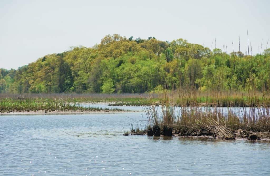 Going to the River | Chesapeake Bay Magazine