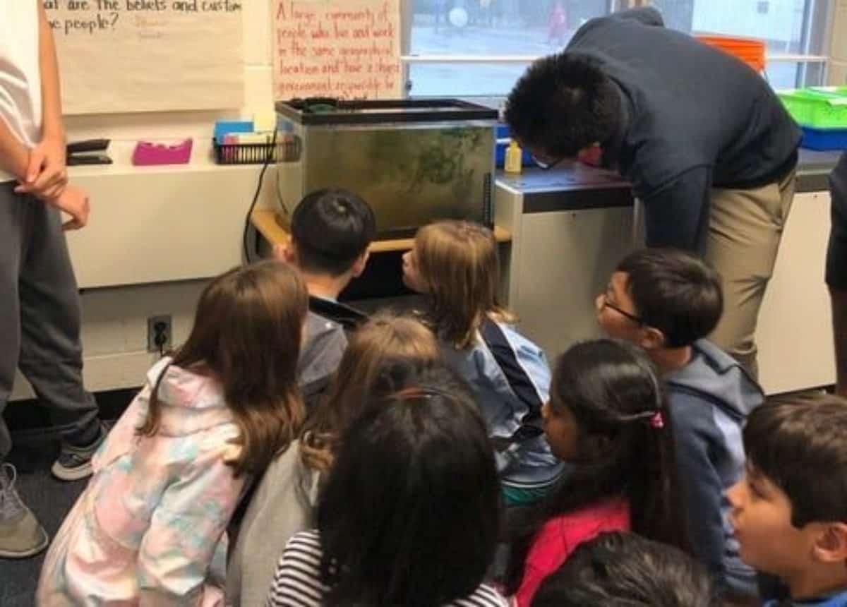 Student Dreams Up Award-Winning Ecosystem Classroom Program ...