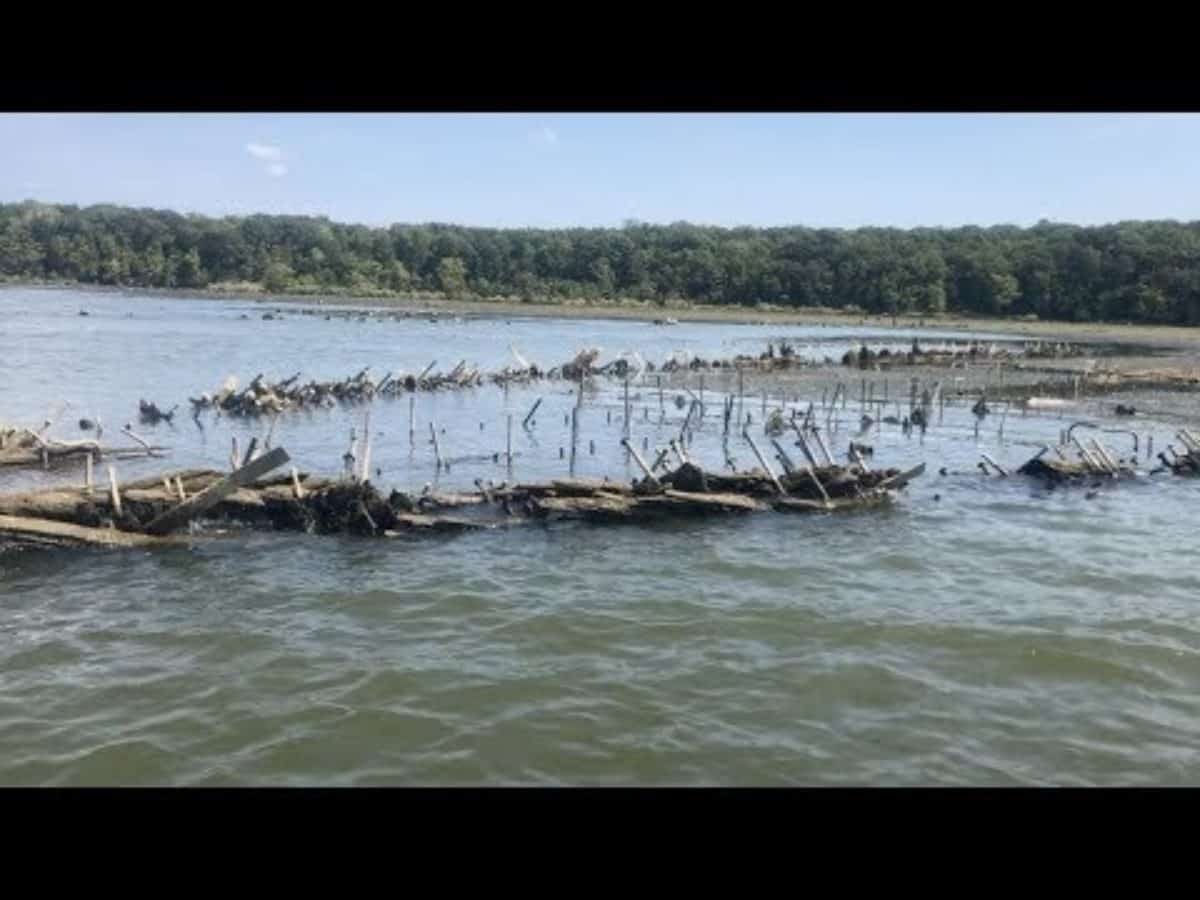 VIDEO: Mallows Bay Celebrates Marine Sanctuary Milestone | Chesapeake ...