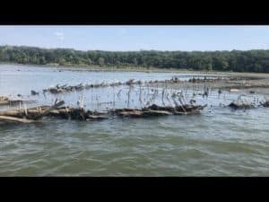 VIDEO: Mallows Bay Celebrates Marine Sanctuary Milestone | Chesapeake ...