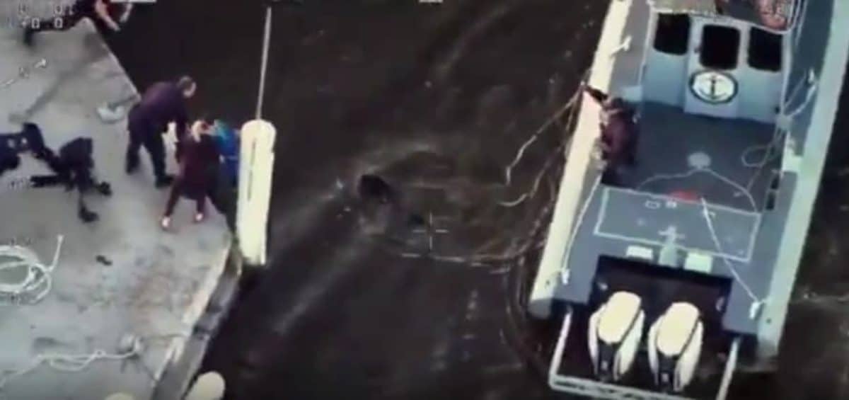 VIDEO: Baltimore Police Rescue Dog from Inner Harbor | Chesapeake Bay ...