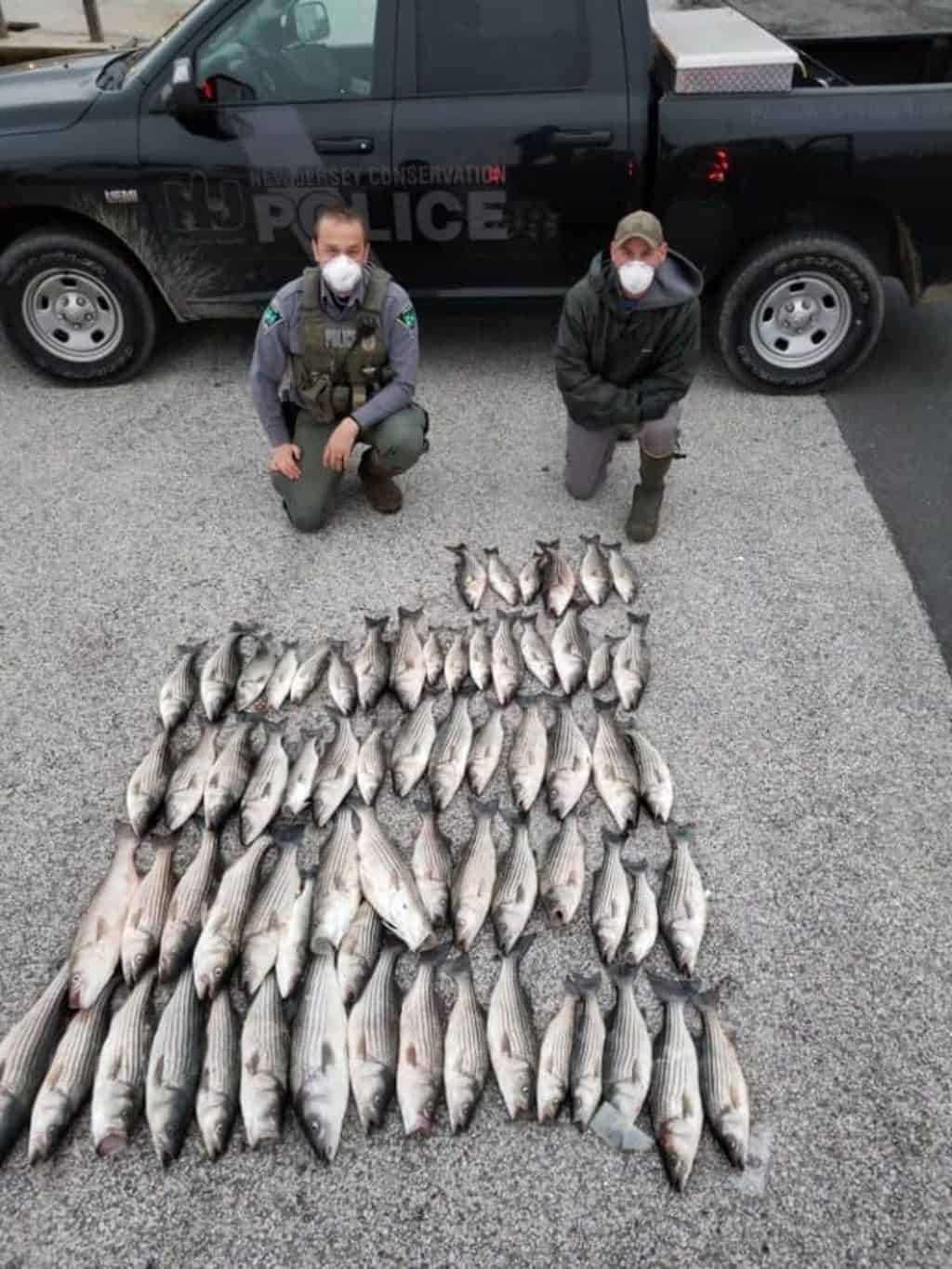 NJ Men Caught with 66 Undersized Rockfish | Chesapeake Bay Magazine