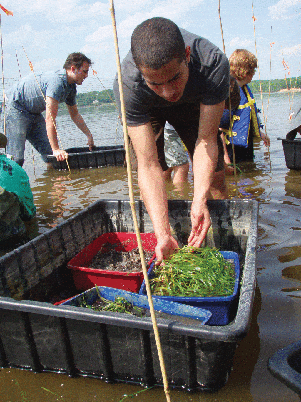 Chesapeake Stewardship | Chesapeake Bay Magazine