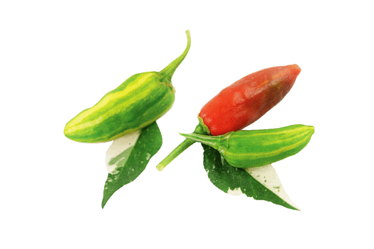 Fish Peppers | Chesapeake Bay Magazine