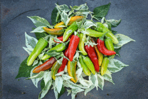 Fish Peppers | Chesapeake Bay Magazine