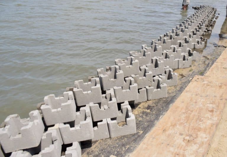 Lafayette River Gets Oyster Castles Fit for Bivalve Royalty ...