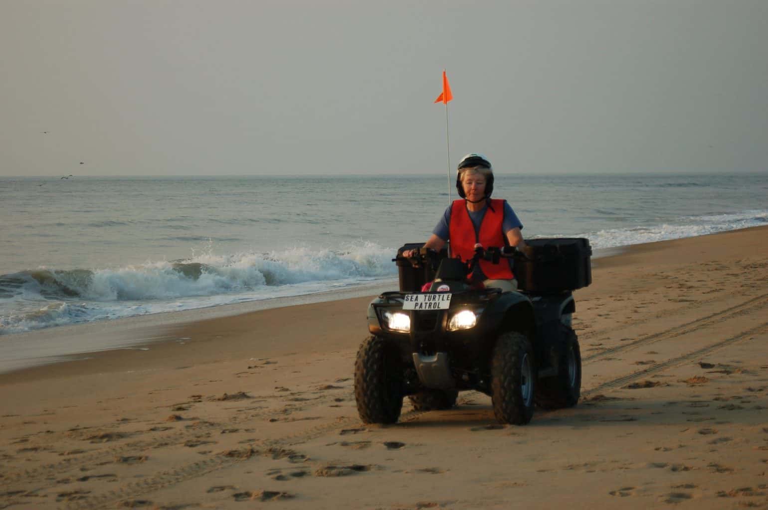 Va. “Turtle Lady” Remembered for Dedication to Marine Wildlife ...