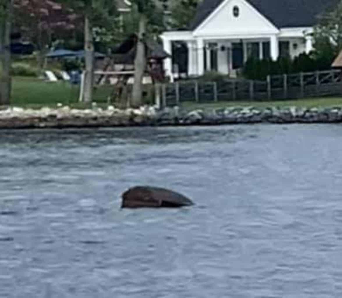 Floating"Casket" Mystery Solved | Chesapeake Bay Magazine
