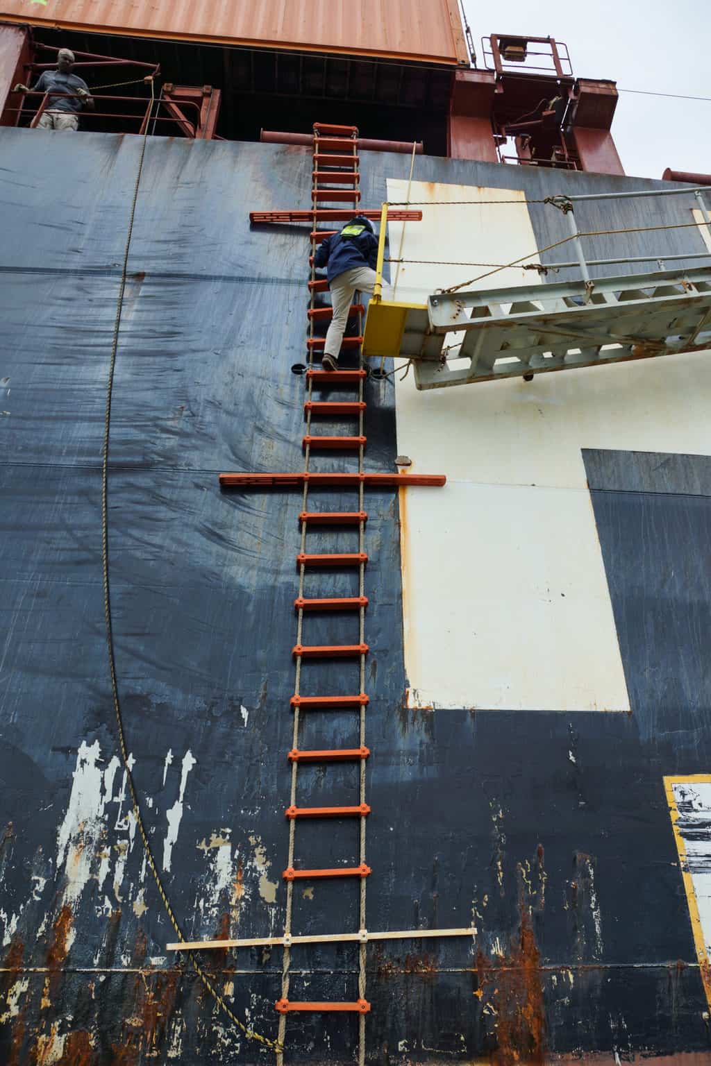 Pilot on the Ladder | Chesapeake Bay Magazine