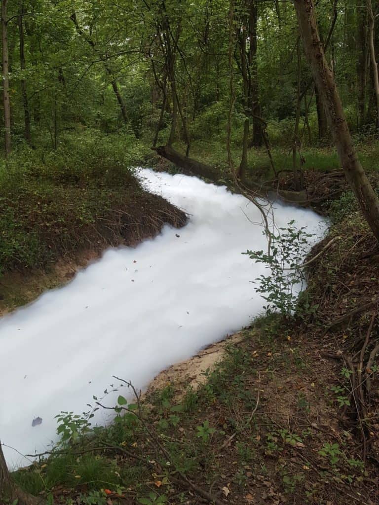 Fish Kill Linked to Severn Headwaters Firefighting Foam Pollution ...