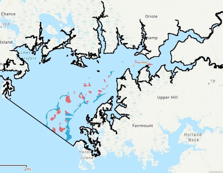 Weigh in on Large-Scale Eastern Shore Oyster Sanctuary | Chesapeake Bay ...