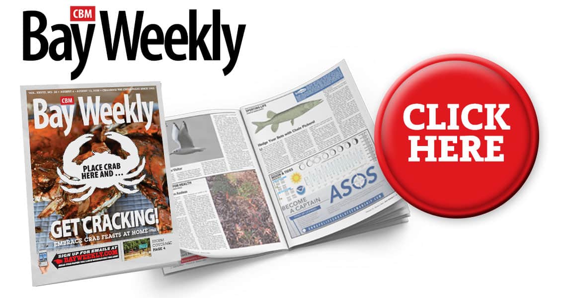 Chesapeake Bay Media | Chesapeake Bay Magazine