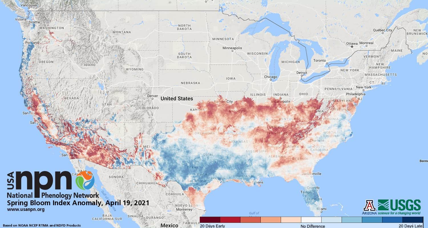 Spring Speeding Up Around the Bay, Research Shows | Chesapeake Bay Magazine