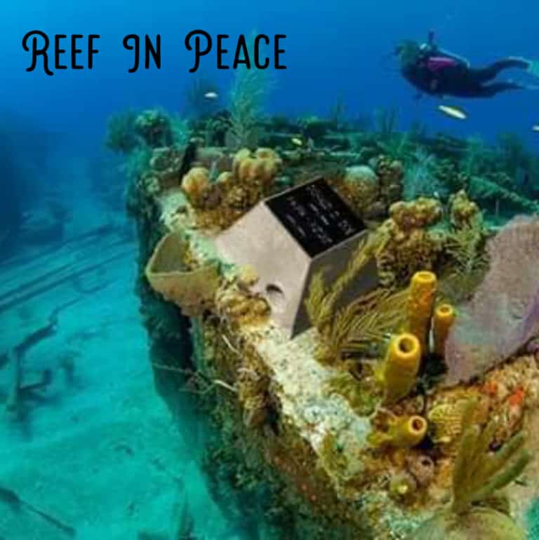 Buried at Sea: Underwater Memorial Plots for Sale in the Chesapeake ...