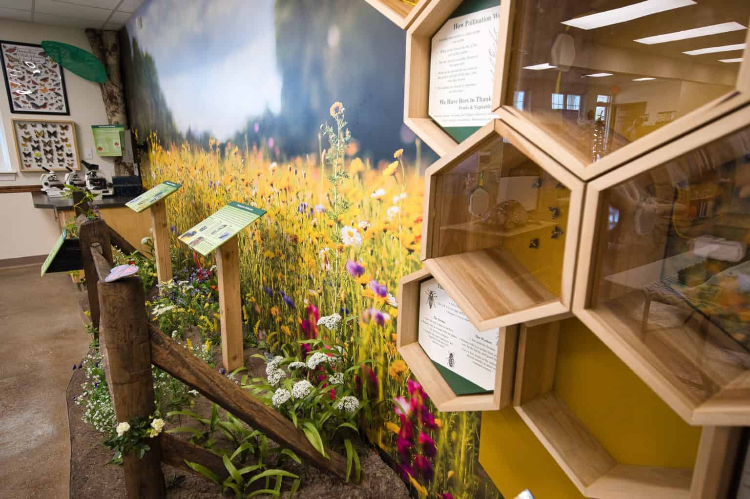Kiptopeke State Park Debuts New Visitor Center | Chesapeake Bay Magazine